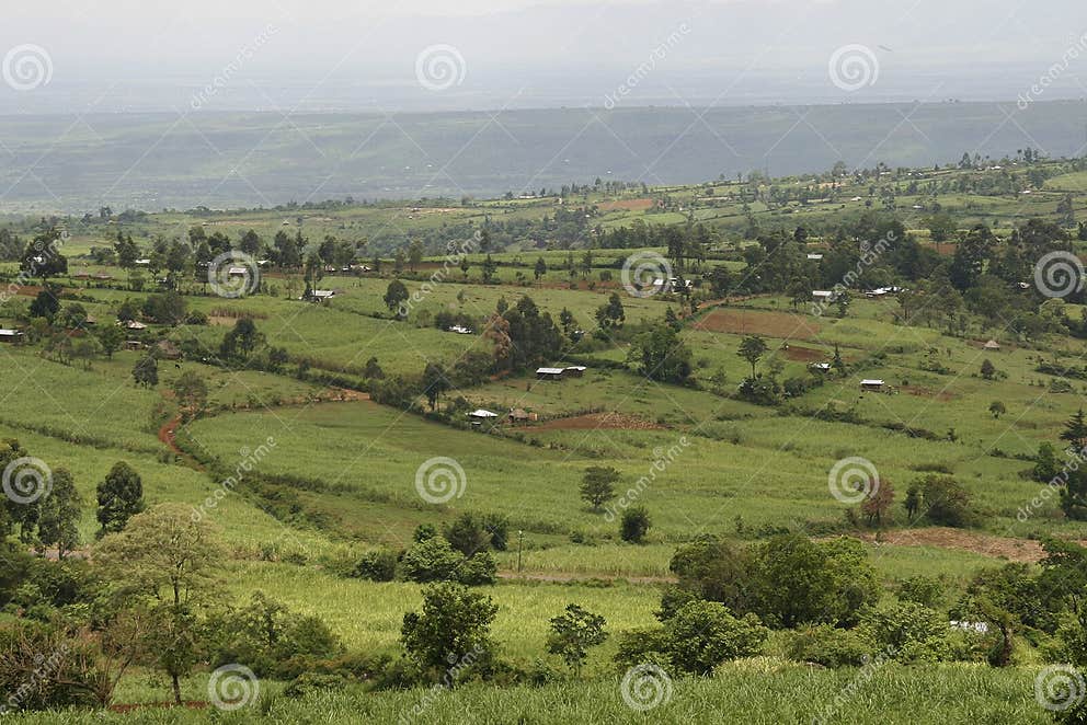 African Rural Landscape stock photo. Image of kenya, cultivation - 659458