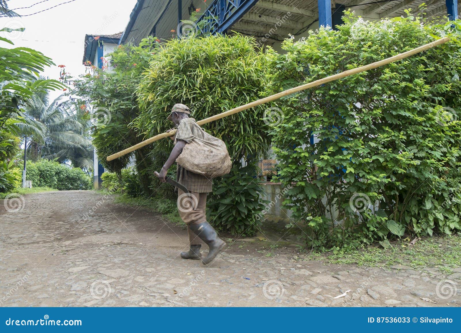 African Rural Worker on a Farm Editorial Stock Photo - Image of ...