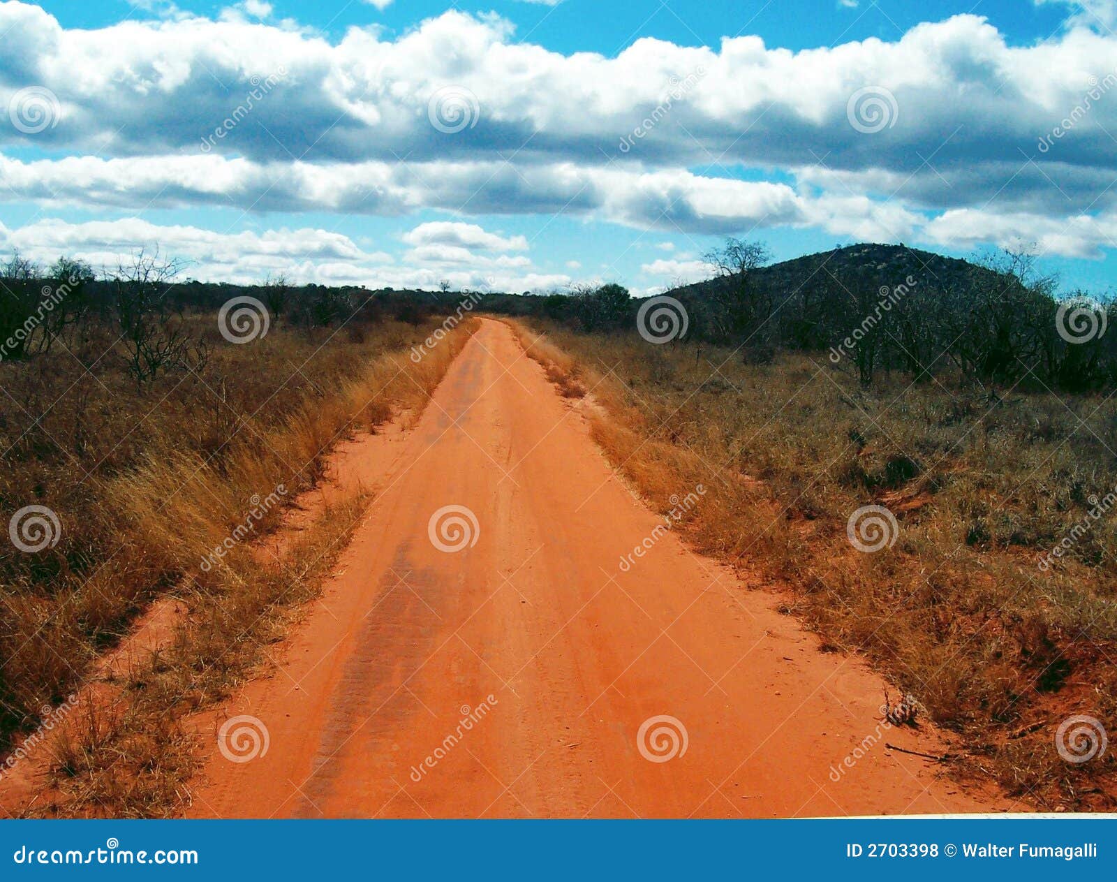 African S Road stock photo. Image of southern, shamwari - 2703398