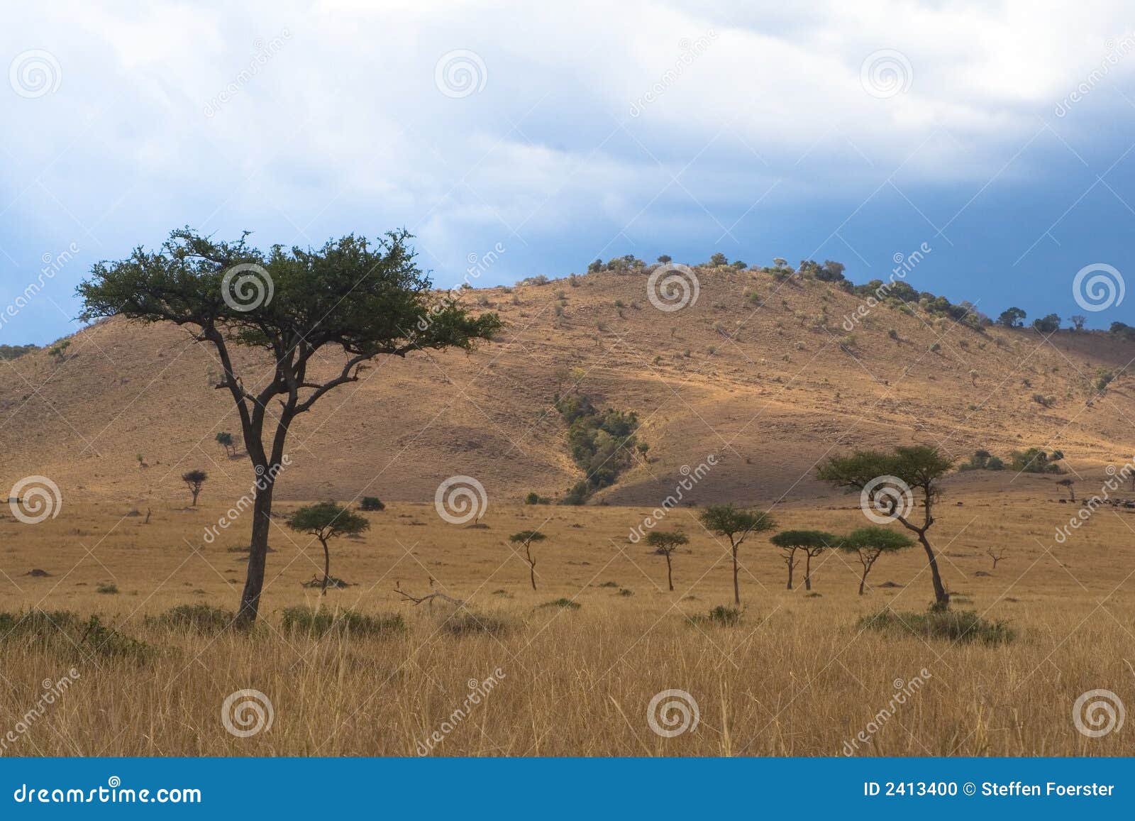 African Savanna stock photo. Image of acacia, hilly, hills - 2413400