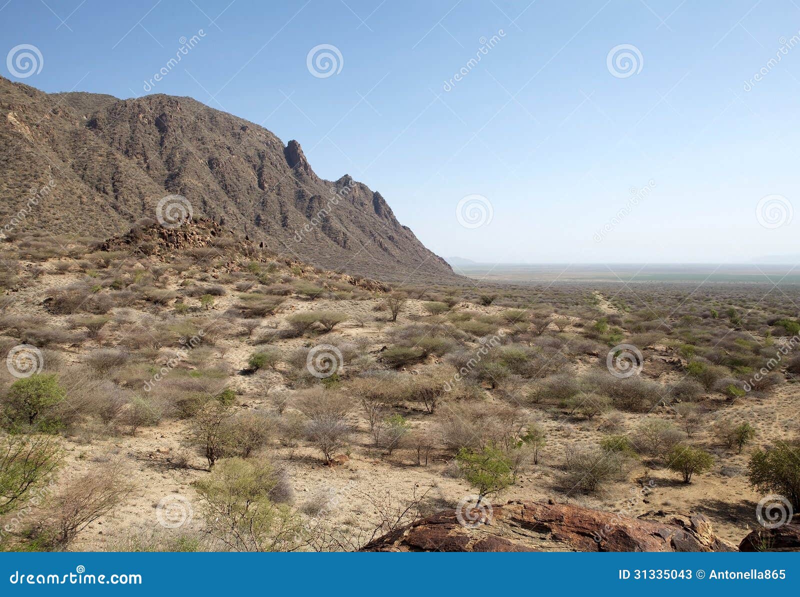 African savanna stock image. Image of destination, africa - 31335043