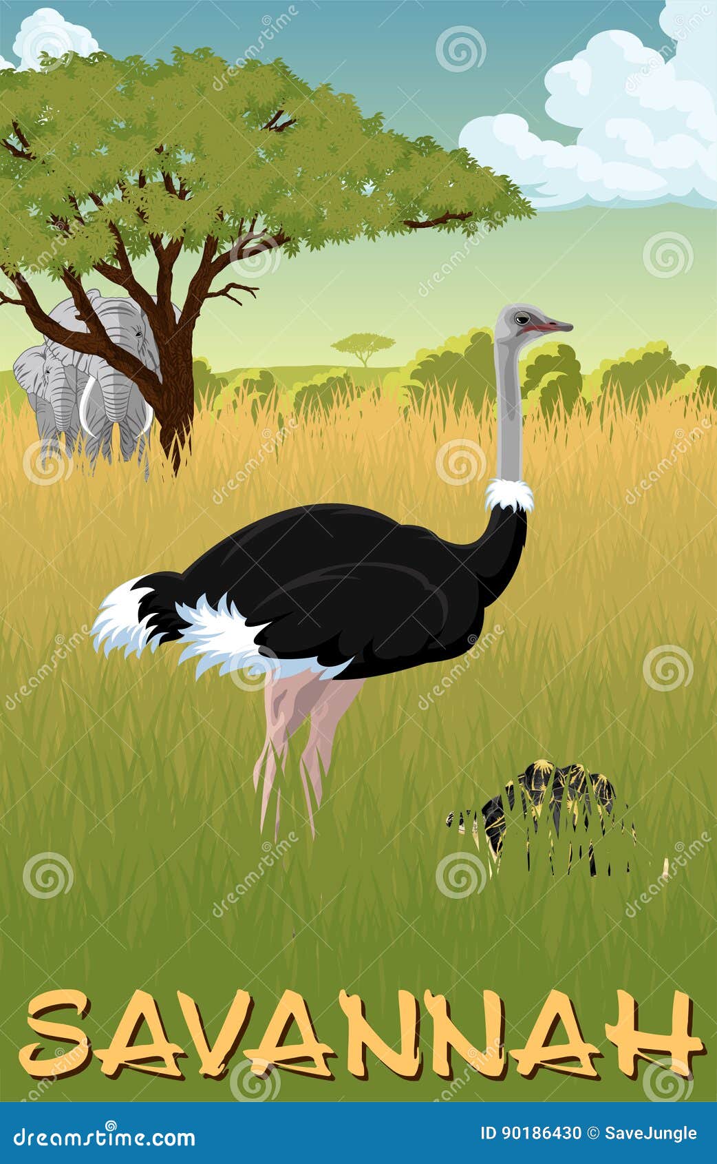 African Savannah with Ostrich, Turtle and Elephants - Vector Stock ...