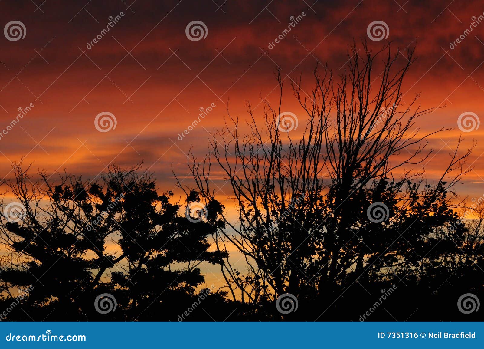 African Sky stock photo. Image of cover, front, dusk, cloud - 7351316