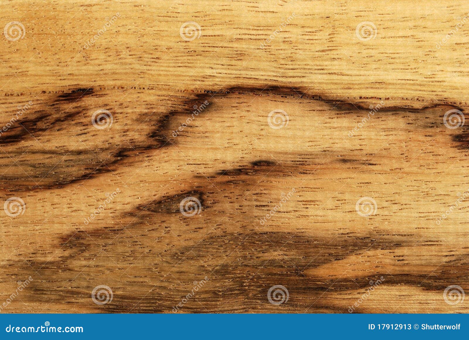 African Spalted Wood (limba) Stock Image - Image of backdrop, effect ...