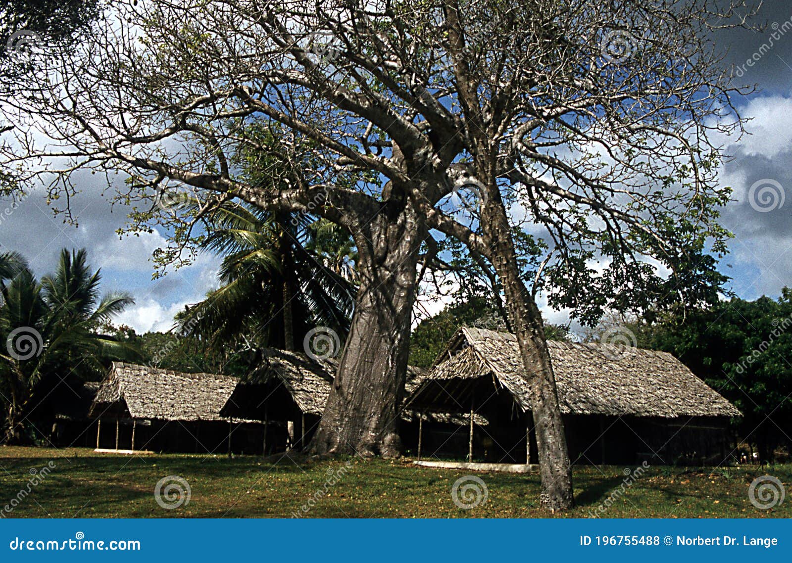 African straw huts stock photo. Image of outdoor, green - 196755488