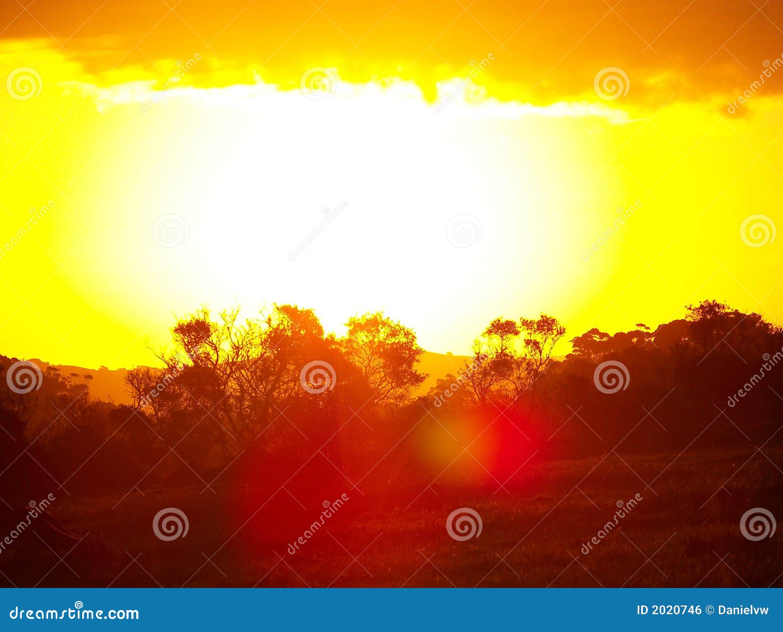 African Sun stock photo. Image of heat, gold, suns, warm - 2020746