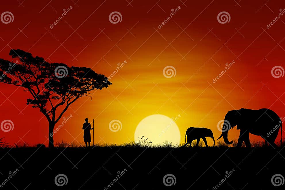 African Sunset stock image. Image of tusks, dusk, sunset - 13323523