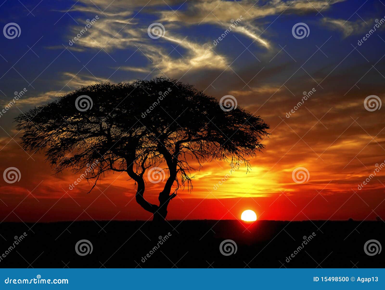 African sunset stock photo. Image of scenic, outdoor - 15498500