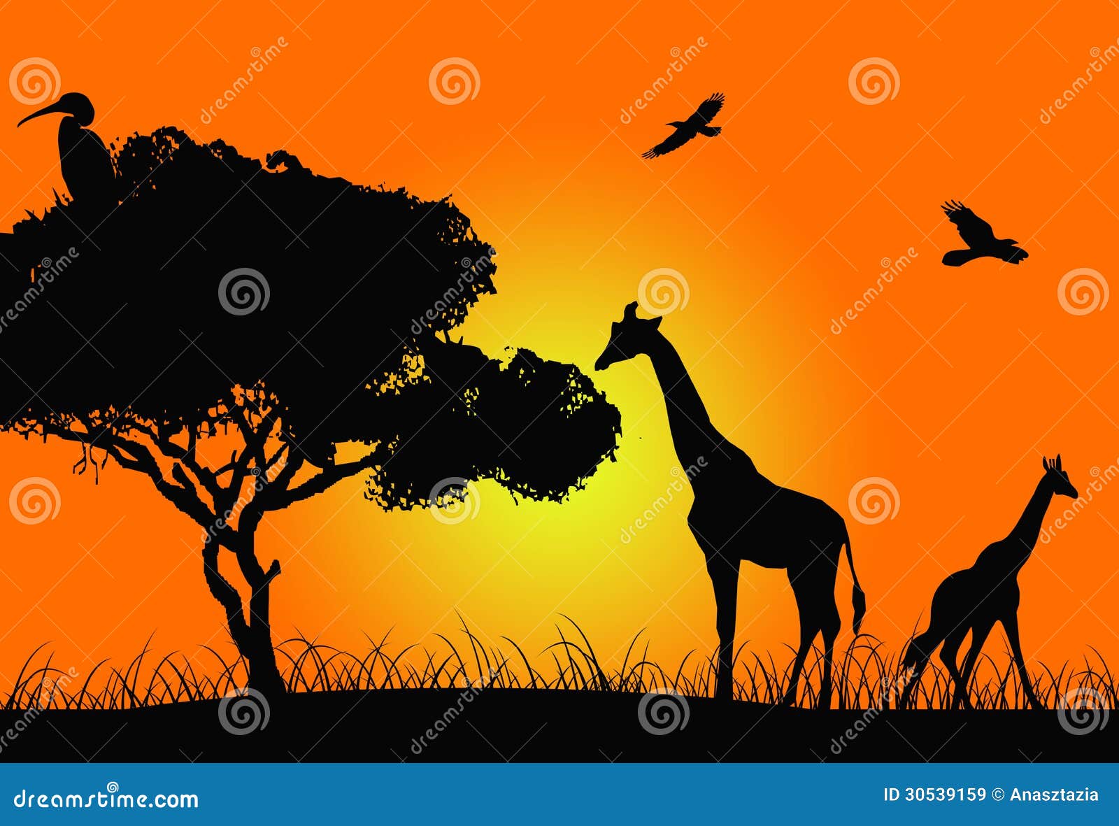 African sunset stock illustration. Illustration of scenic - 30539159
