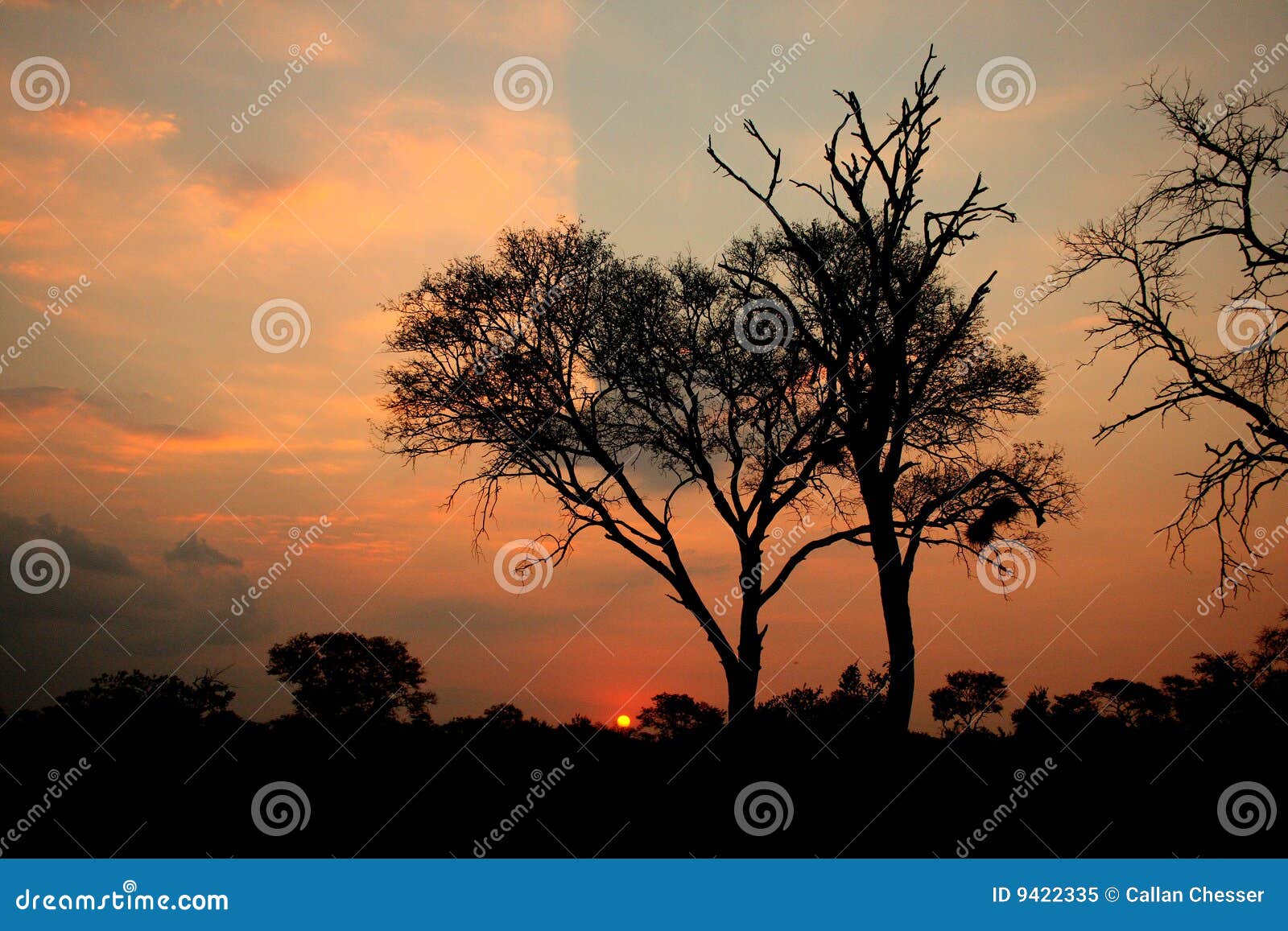 African Sunset, Sabi Sand Reserve Stock Image - Image of africa ...