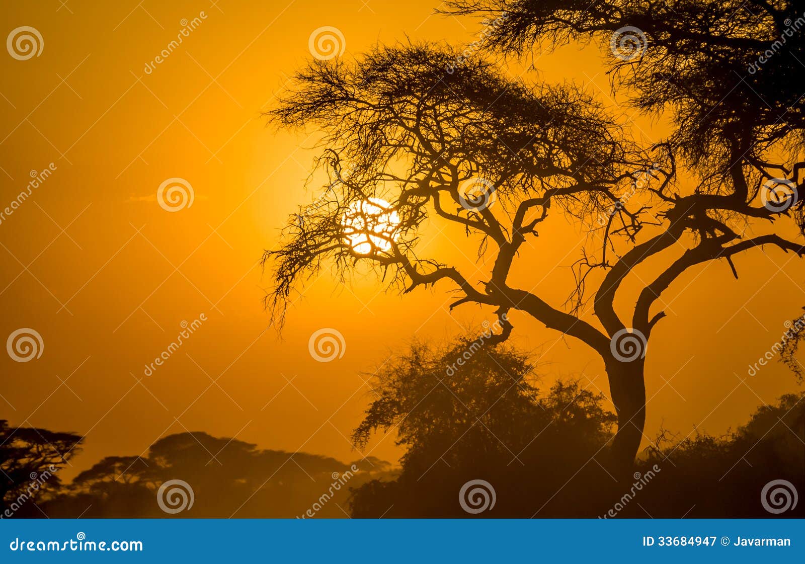 African sunset in savannah stock image. Image of atmosphere - 33684947