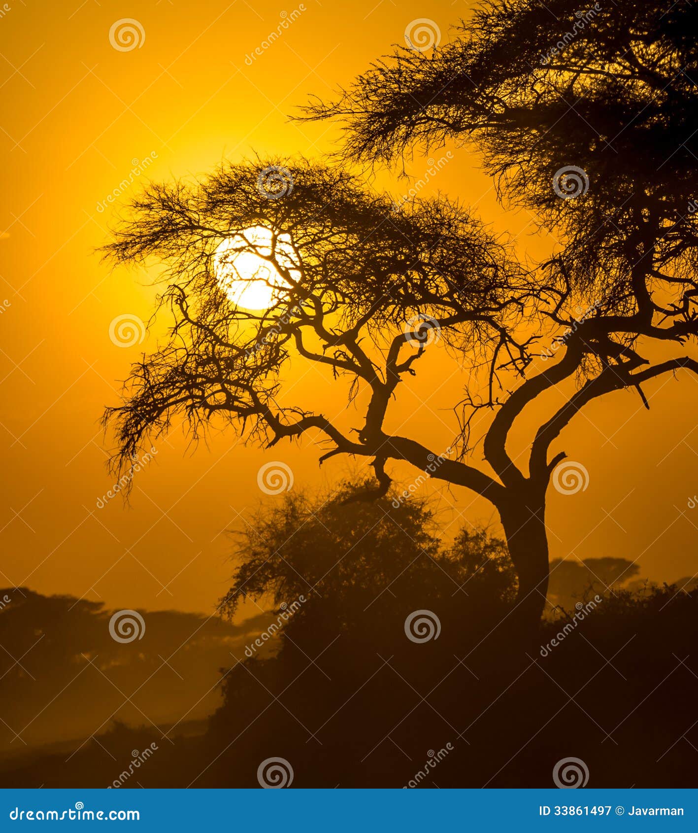 African sunset in savannah stock image. Image of landscape - 33861497
