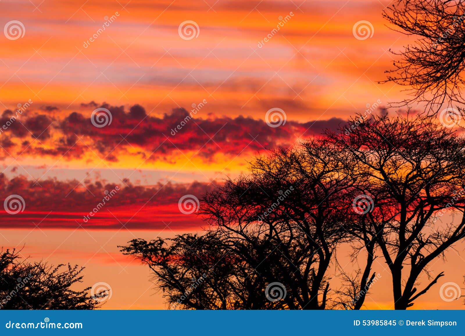 African sunset stock image. Image of light, orange, romantic - 53985845