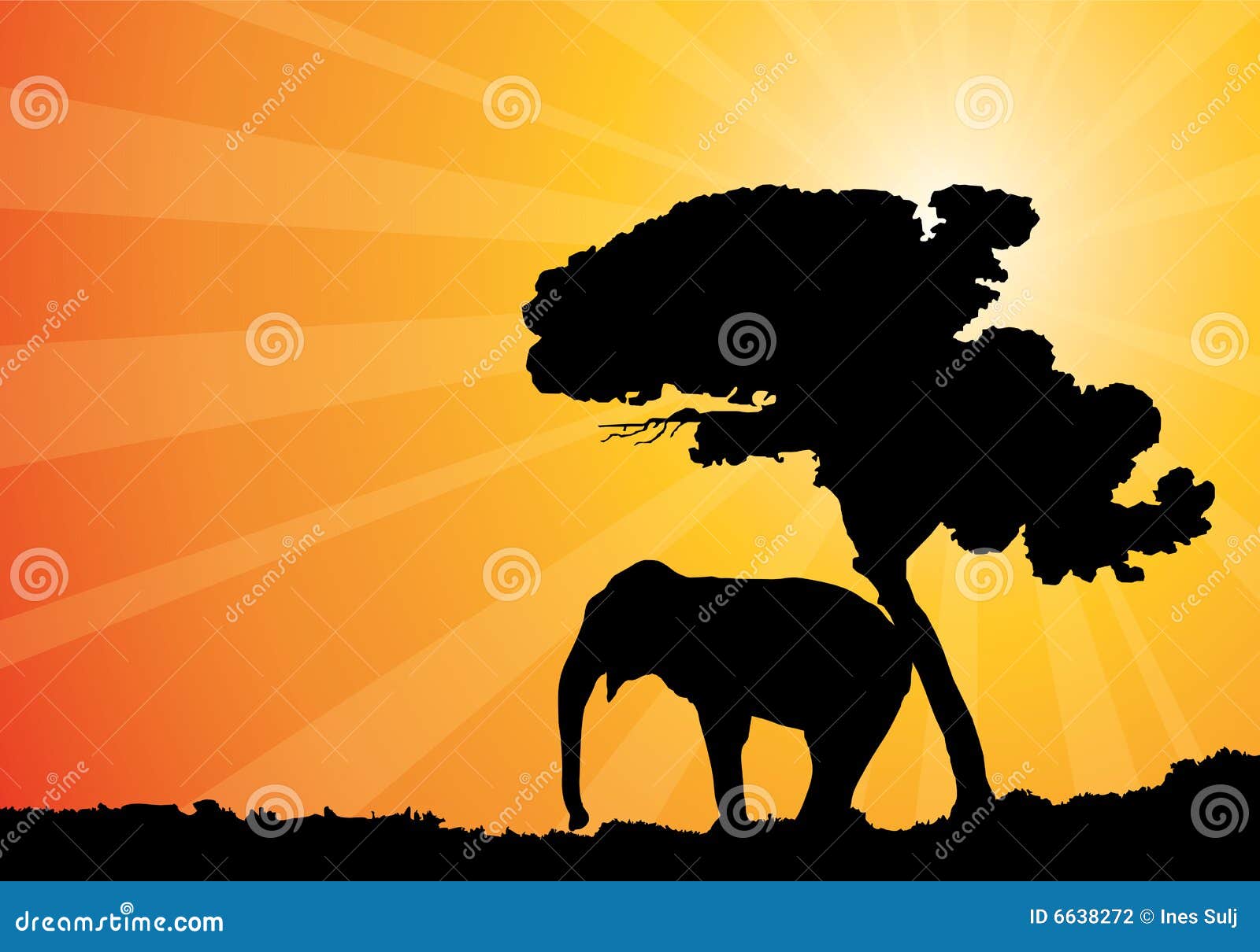 African sunshine stock vector. Illustration of rays, evening - 6638272