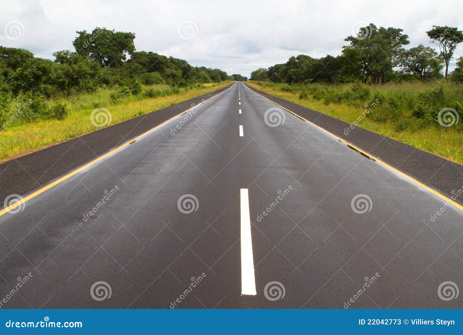 African tar road stock image. Image of savanna, lush - 22042773