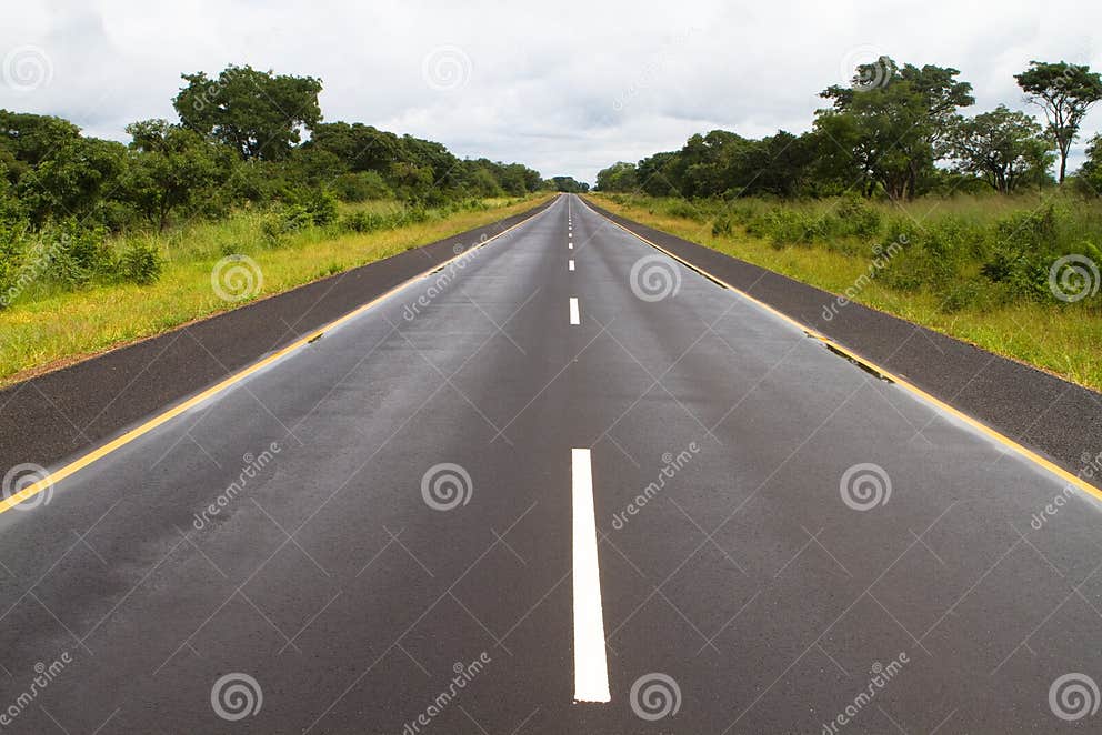 African tar road stock image. Image of savanna, lush - 22042773