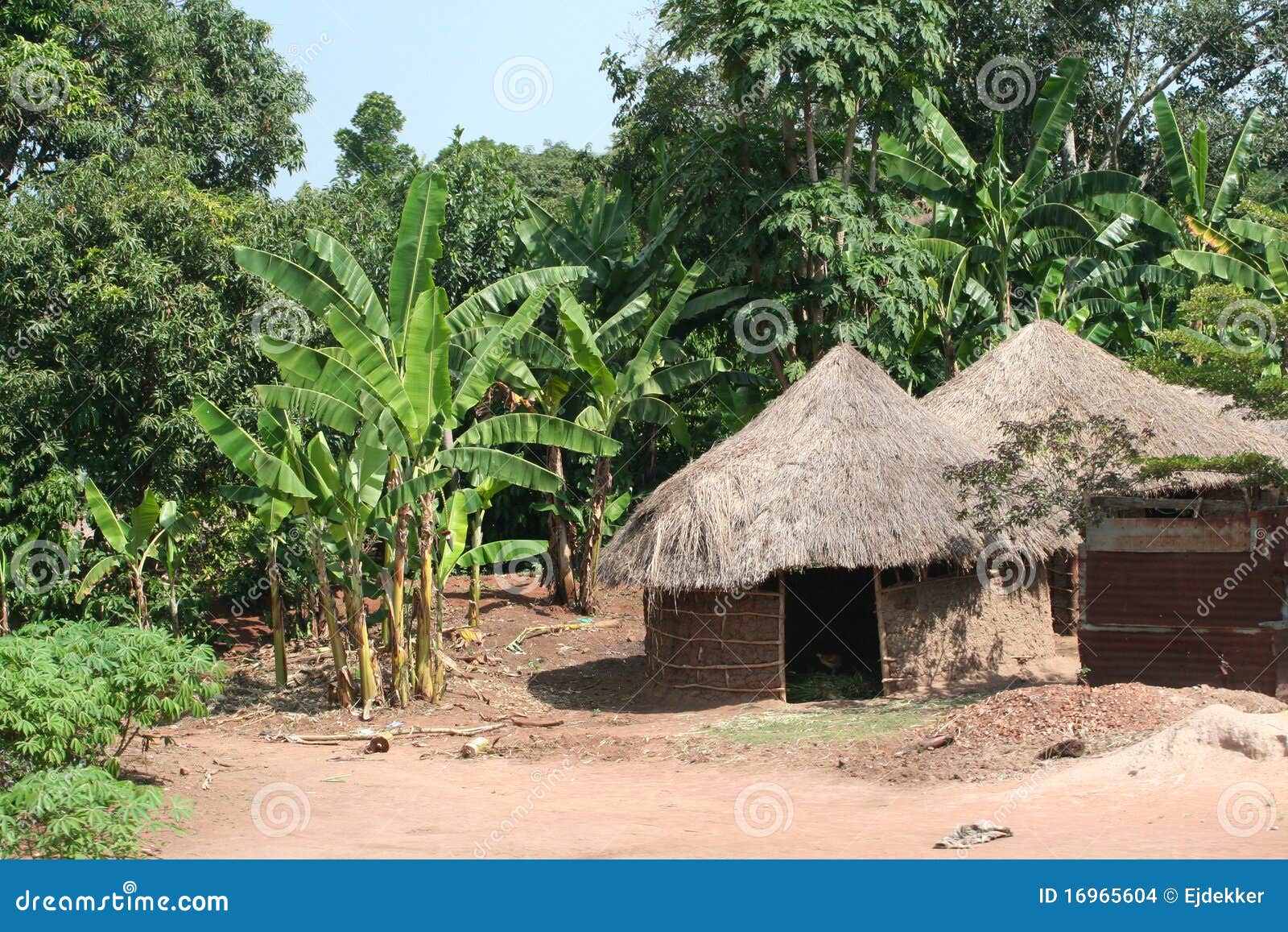 African Tatched Hut, Uganda Stock Photo - Image of africa, tatched ...