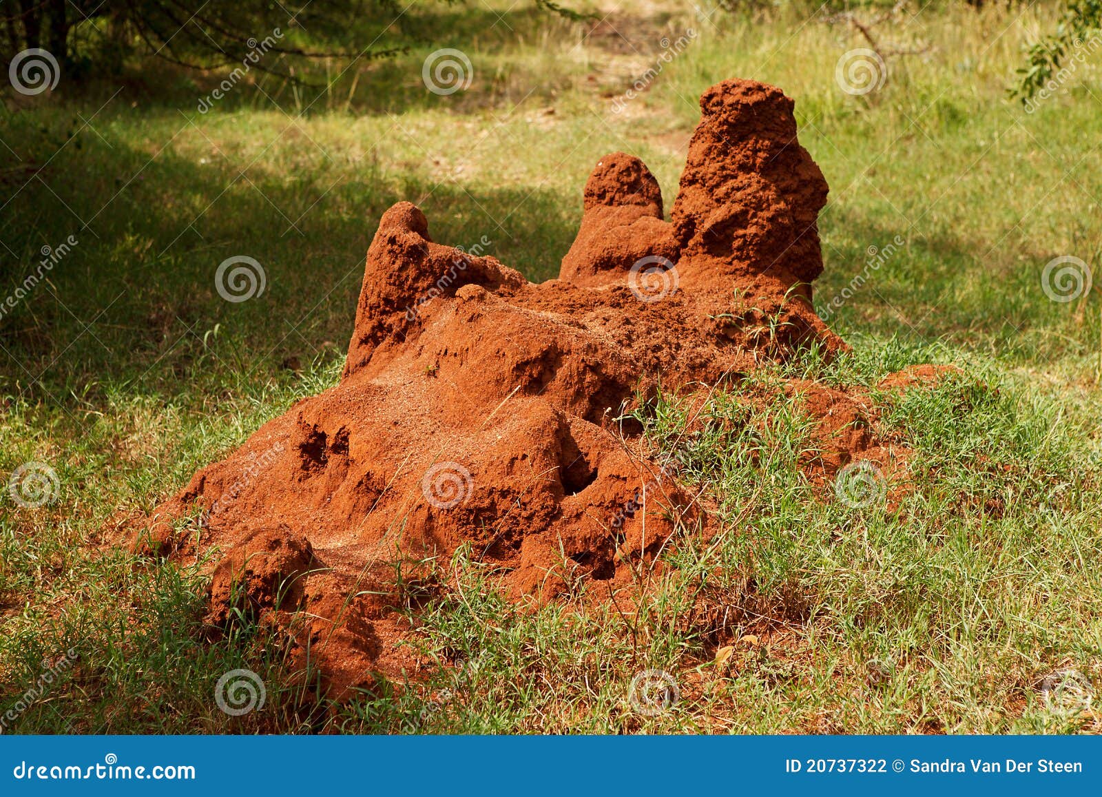 African termite hill stock photo. Image of mound, termitary - 20737322