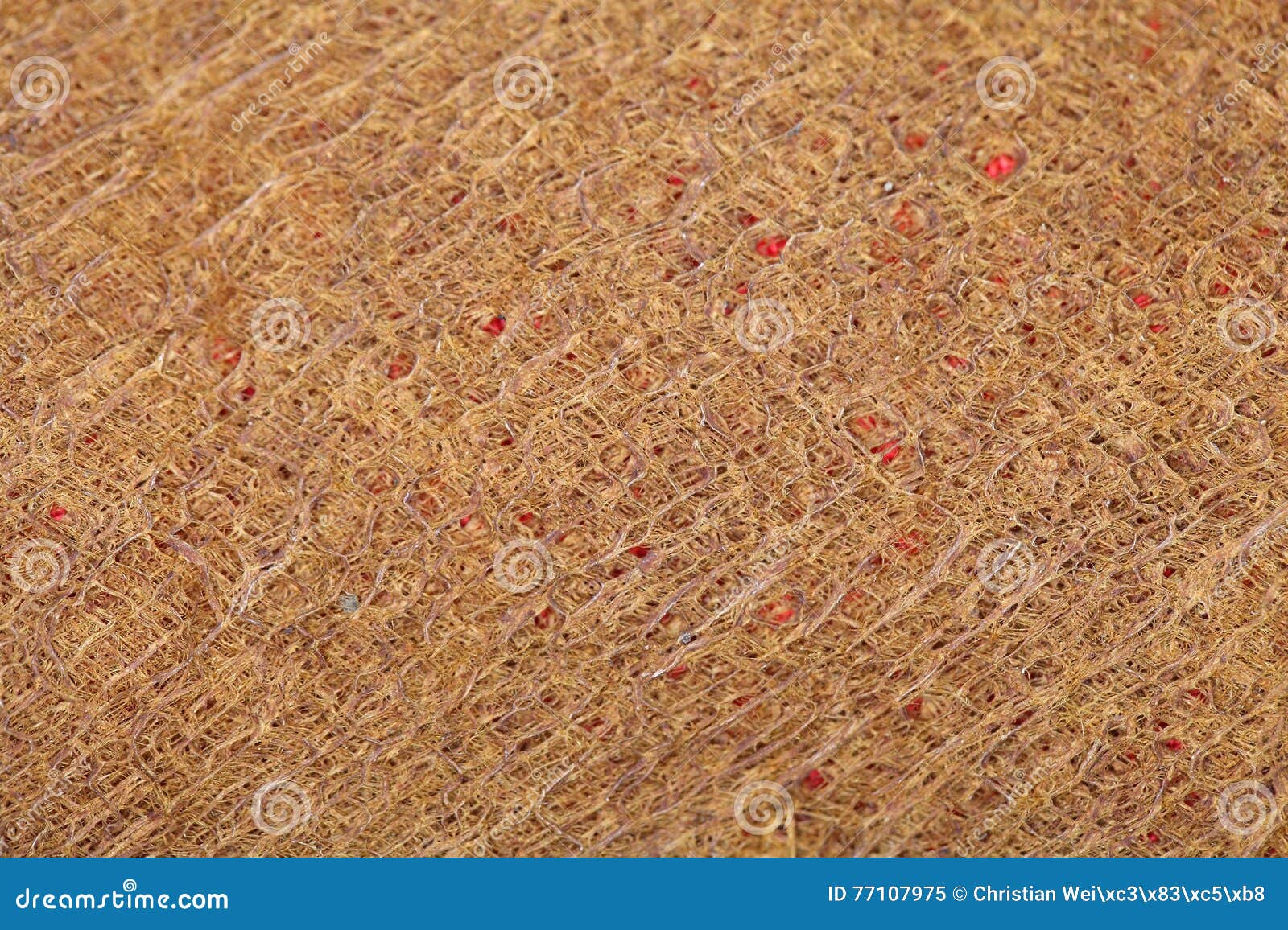 African Textile Fabric Made of Ficus Tree Bark. Stock Image - Image of ...