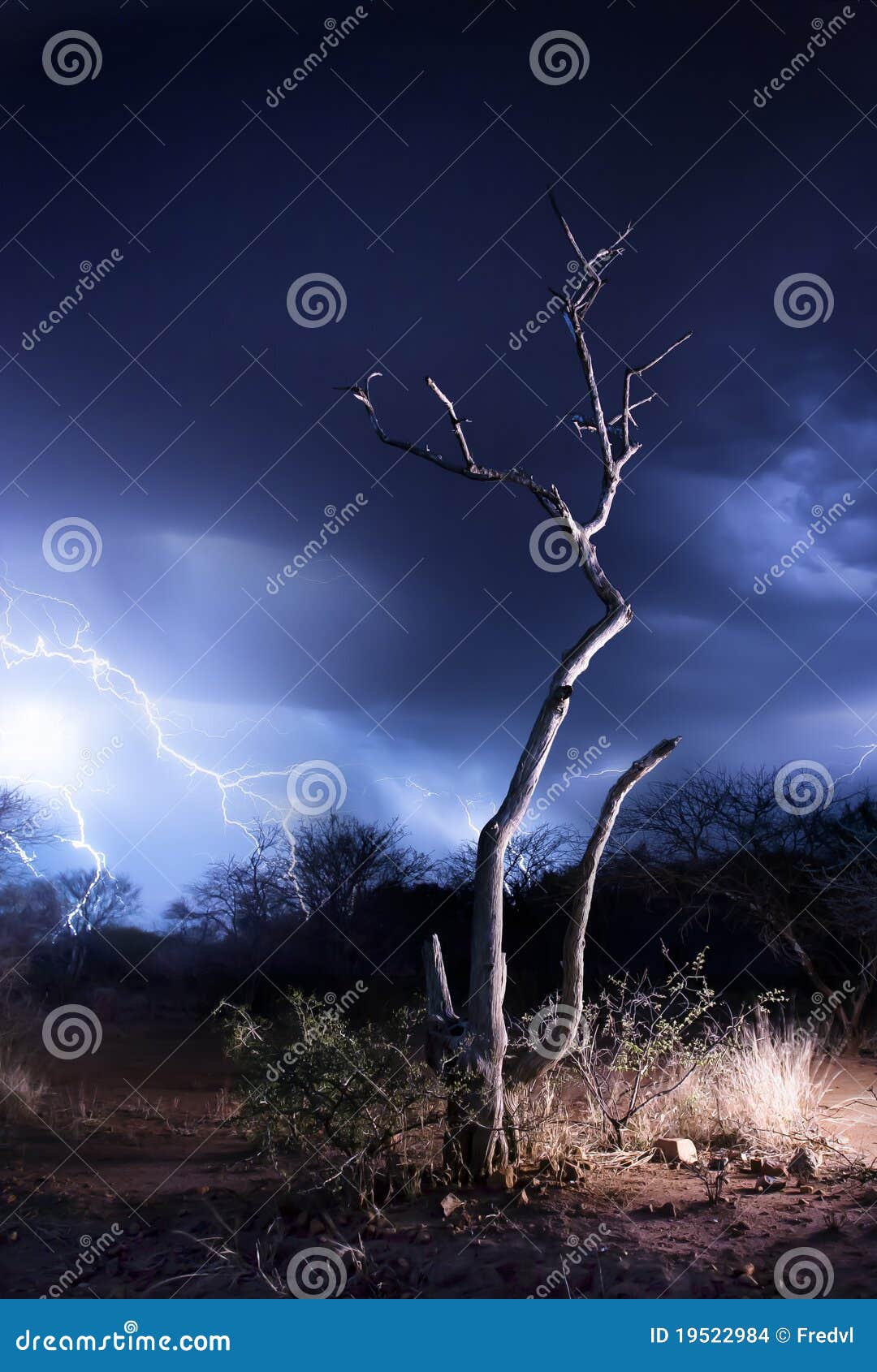 African Thunderstorm stock photo. Image of lightning - 19522984