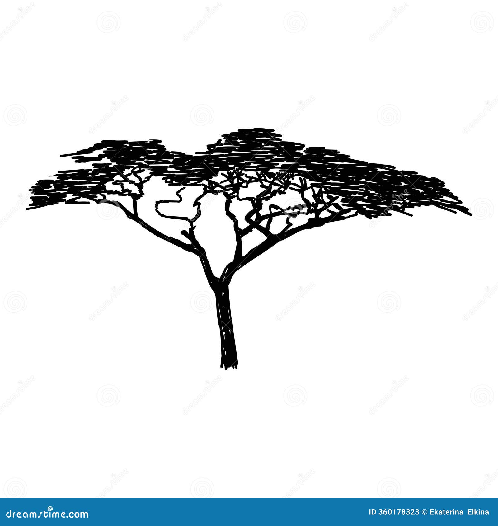 African Tree Isolated Silhouette. Acacia Tree Silhouette Stock ...