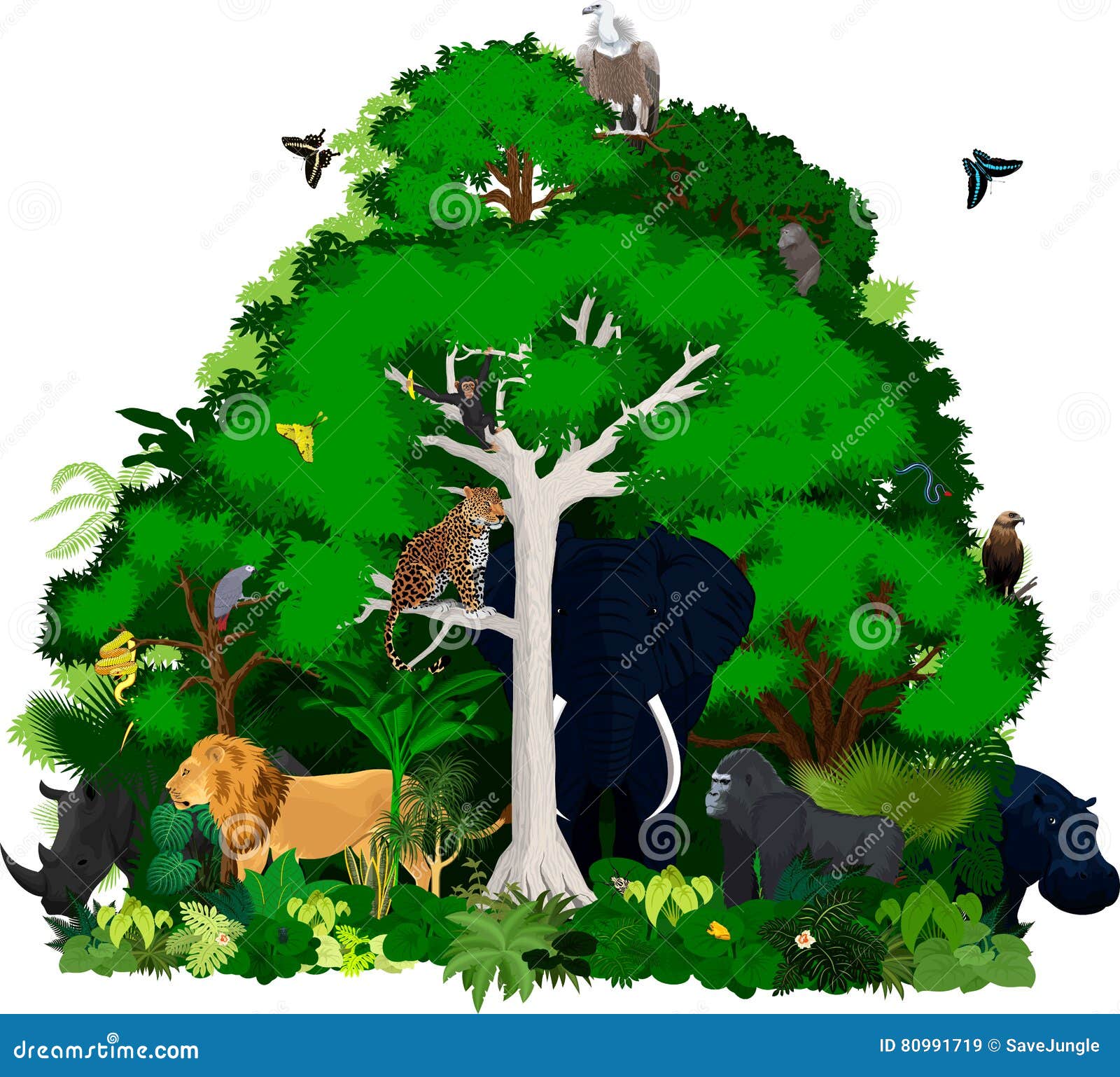 African Vector Jungle Illustration. Vector Tropical Forest with Animals ...
