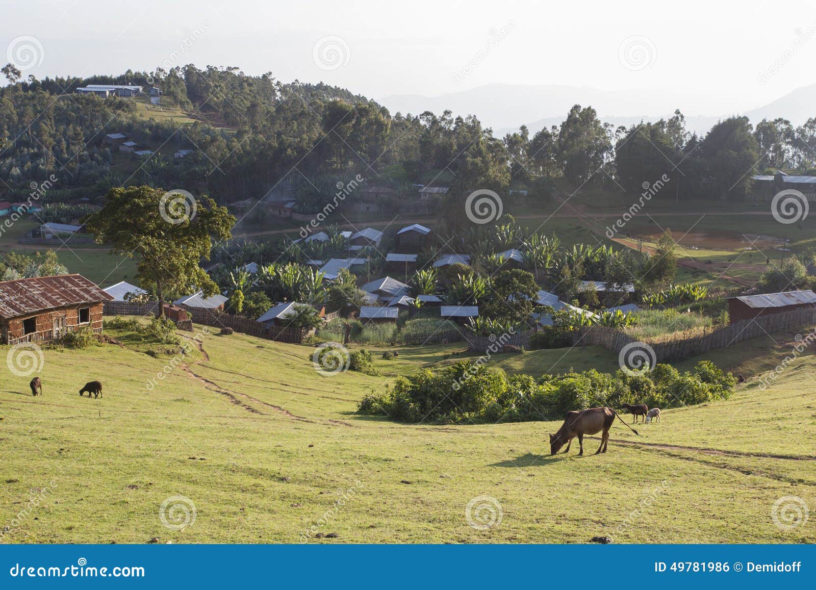 African village. stock photo. Image of ethiopia, house - 49781986