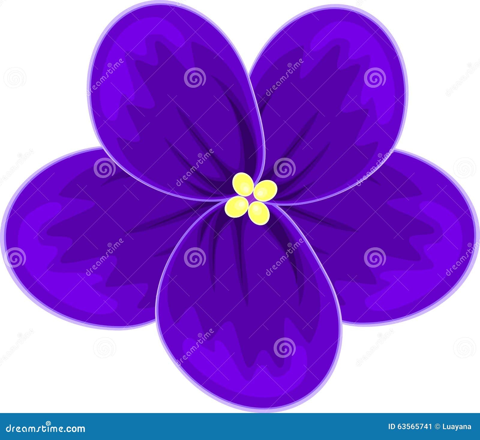 African Violets Saintpaulia Plants With Purple, Blue And Pink Flowers ...