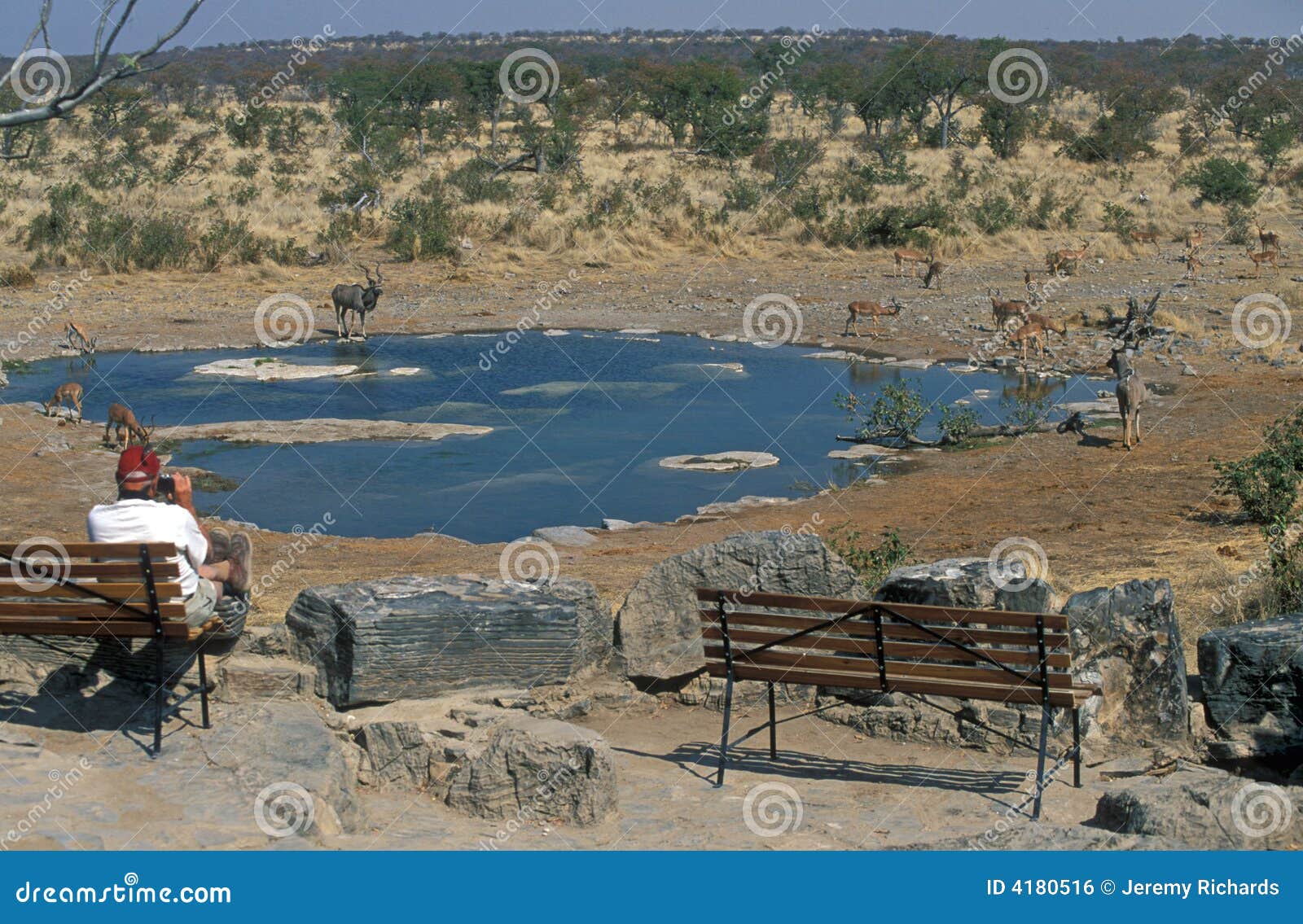Bench At The Waterhole Of Okaukuejo Campsite In Etosha National Park ...