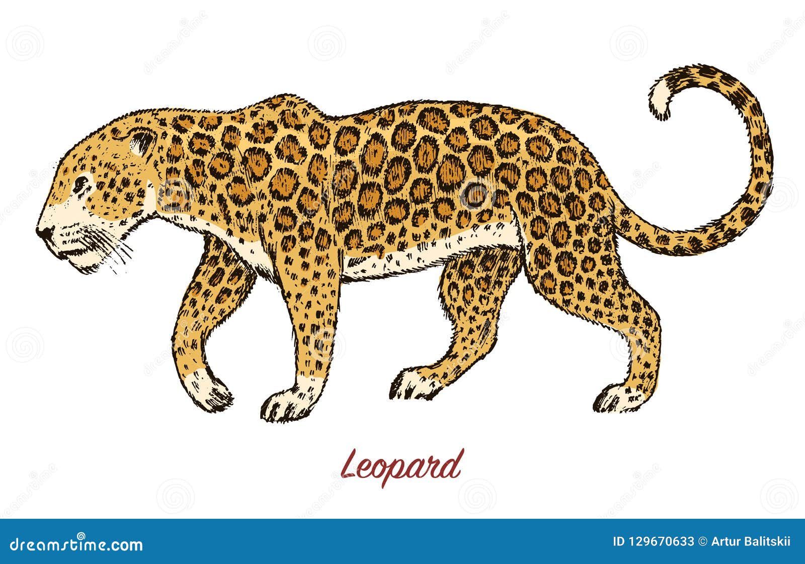 Jaguar Leopard Digital Download Art Print Prints Art & Collectibles jan ... Jaguar Leopard Digital Download Art Print Prints Art & Collectibles jan ...