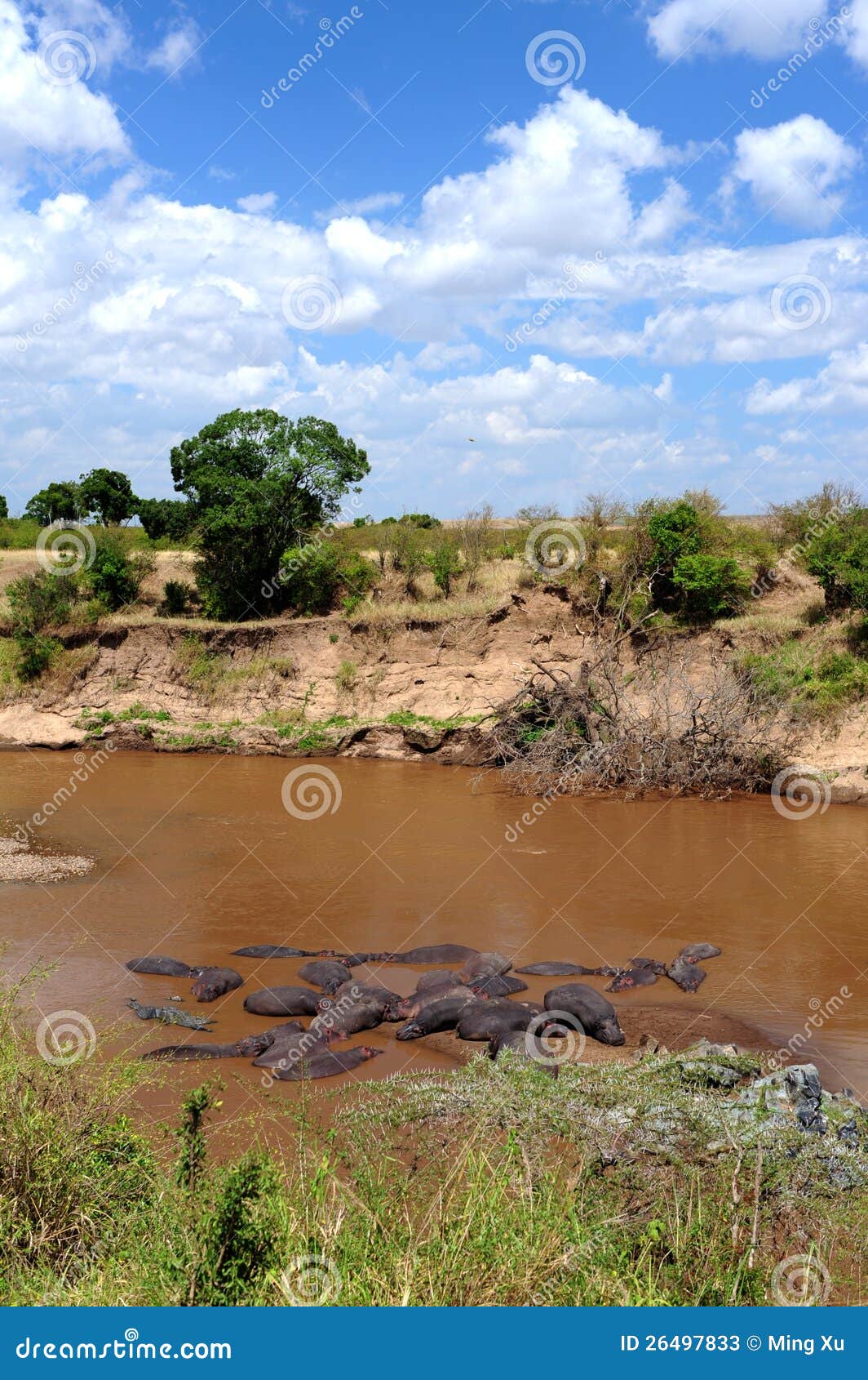 African Wilderness Landscape Stock Image - Image of dryness, ground ...