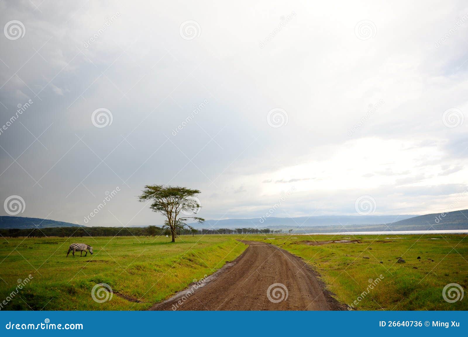 African Wilderness Landscape Stock Photo - Image of dryness, savanna ...