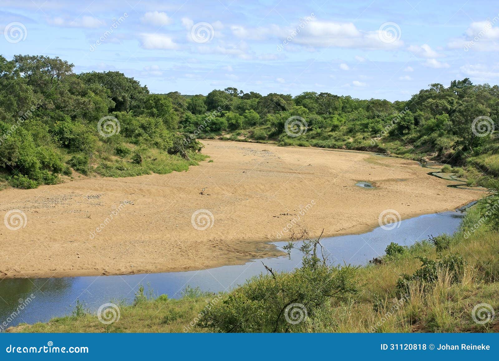 African wilderness stock photo. Image of beauty, safari - 31120818
