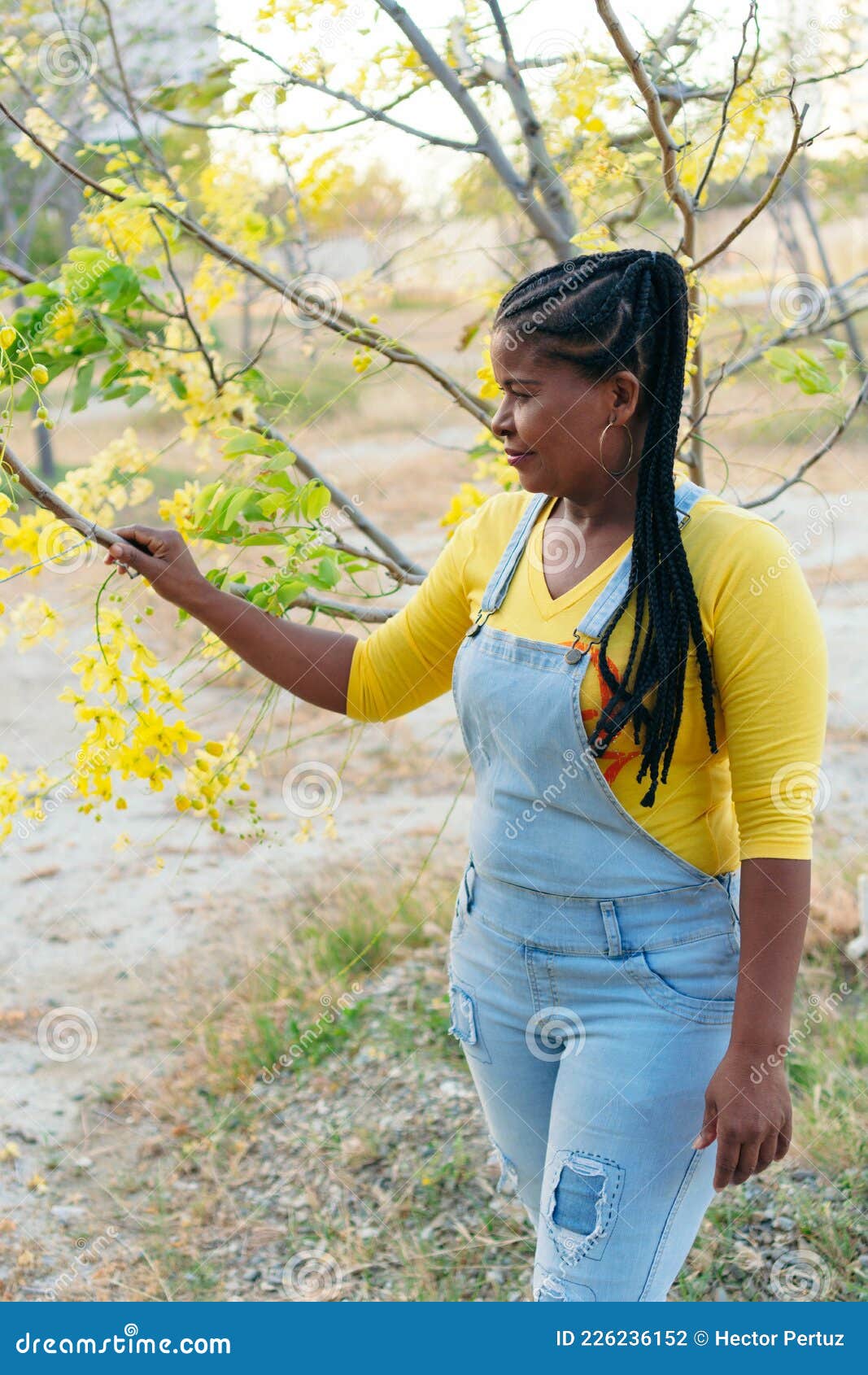 African Woman Touching the Branches of a Tree Stock Photo - Image of ...