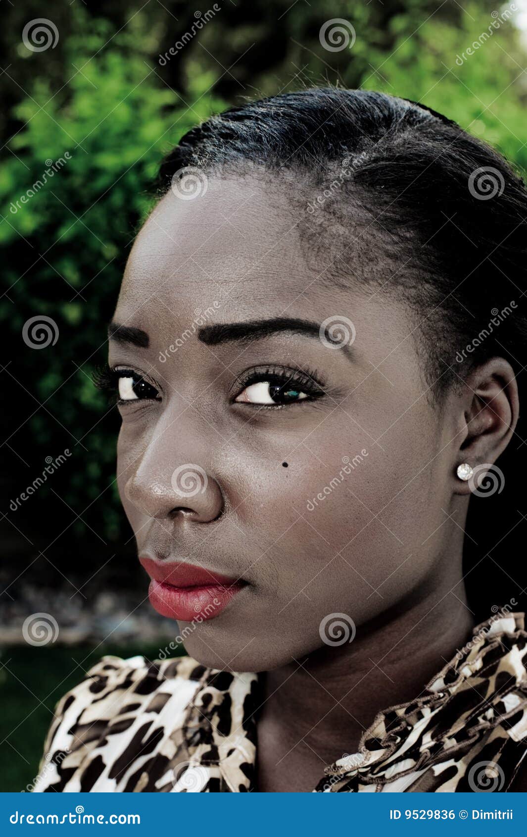 Afrikaans Model stock foto. Image of donker, kleur, vrij - 9529836