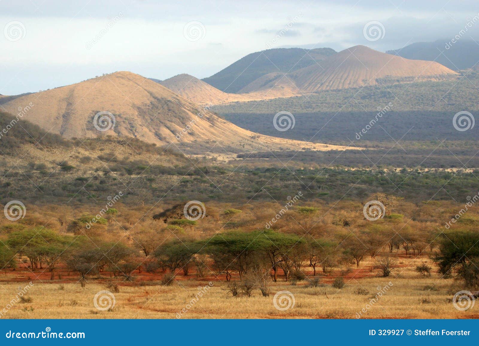 Afrikanische Savanne stockbild. Bild von hügel, landschaft - 329927