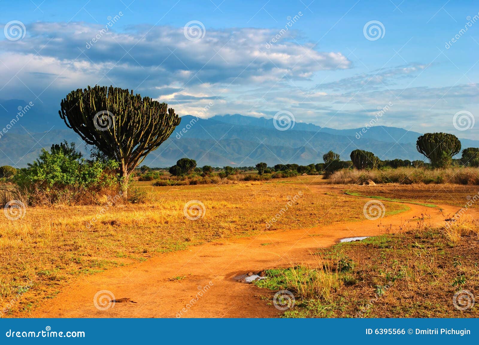 Afrikanische Savanne stockfoto. Bild von vorbehalt, tourismus - 6395566