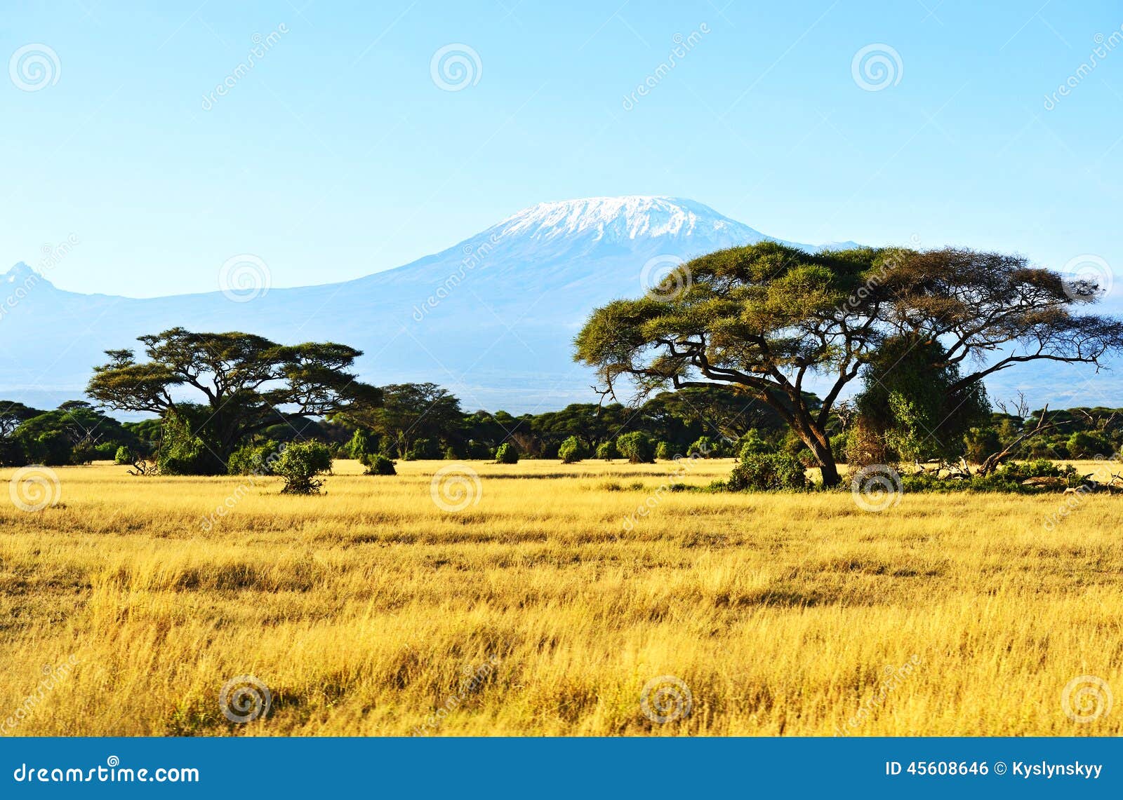 Afrikanische Savannenlandschaft Stockfoto - Bild von hoch, vorbehalt ...
