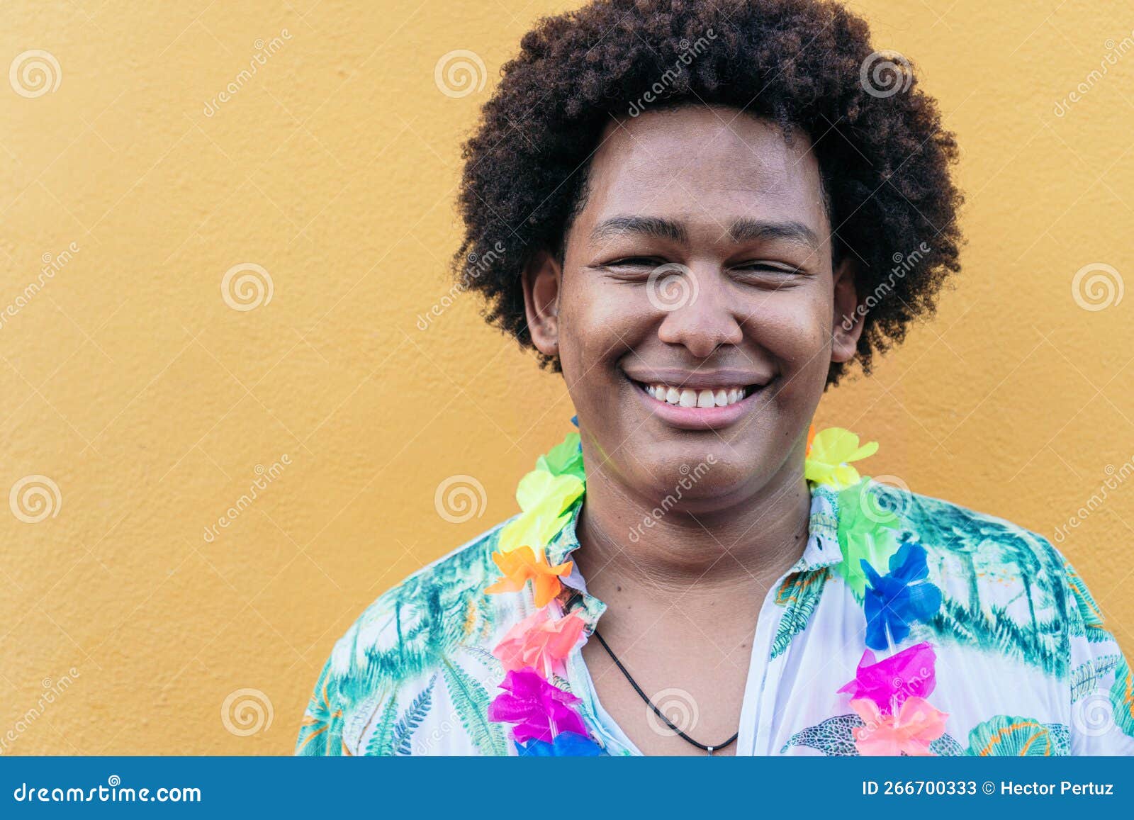 Afro Comemorando O Carnaval De Rua Imagem de Stock - Imagem de brasil ...