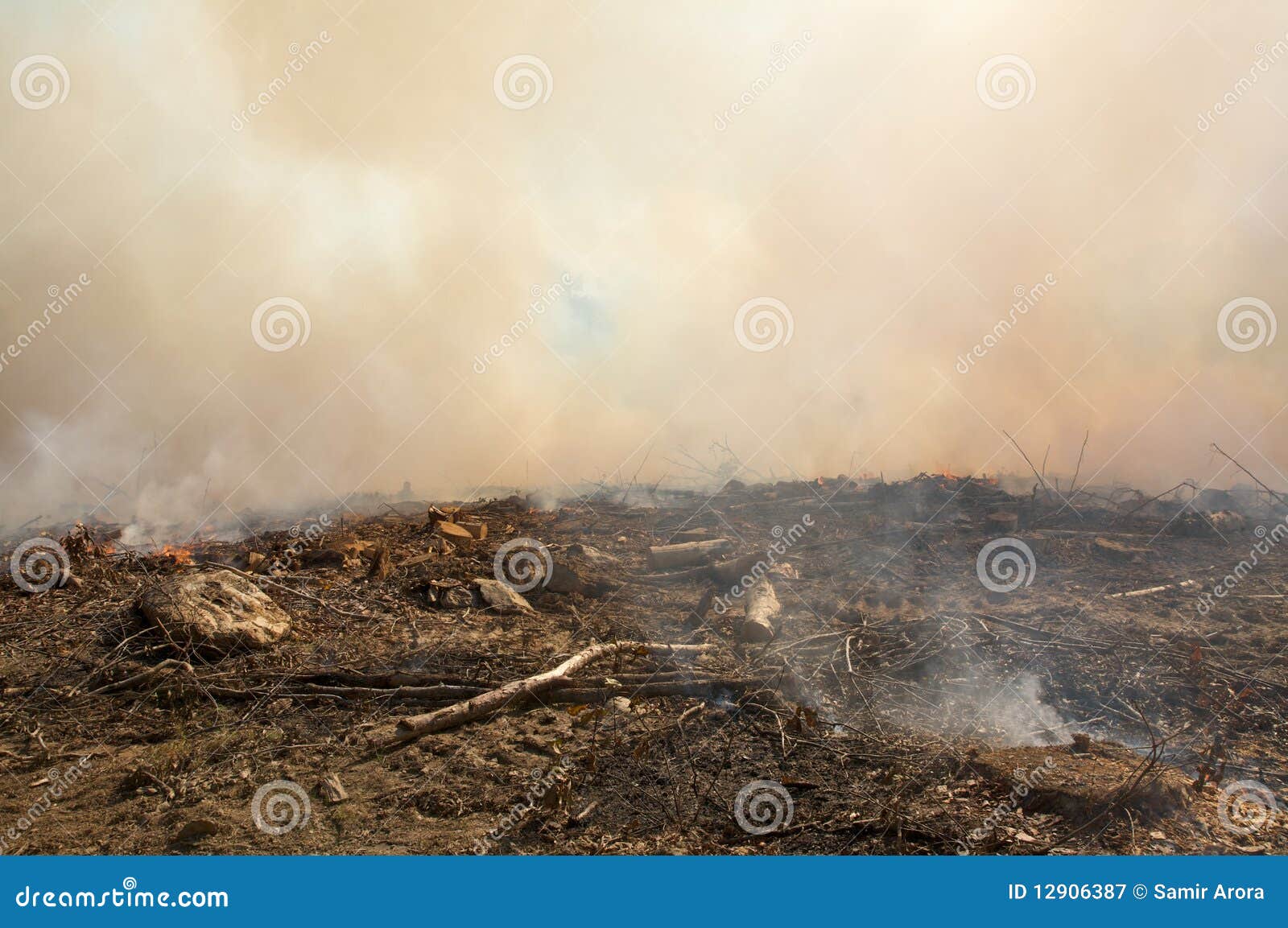 Aftermath from a Controlled Burn Stock Image - Image of industry ...