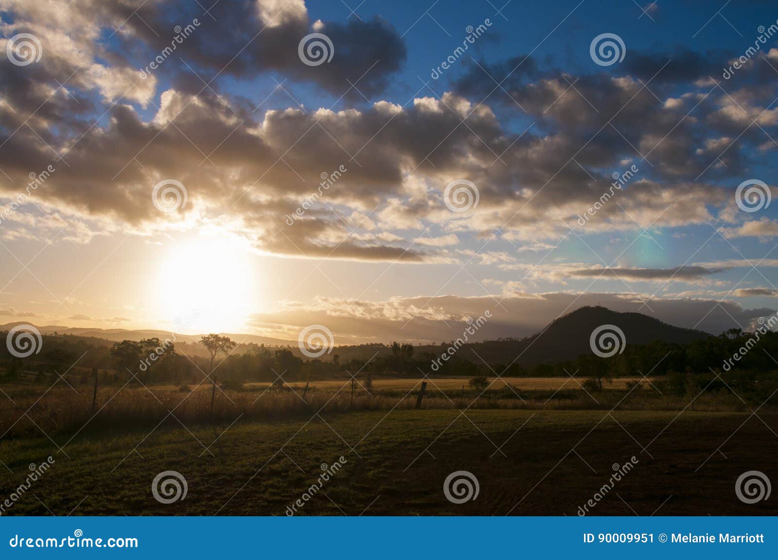 Aftermath of Fire stock image. Image of queensland, australia - 90009951