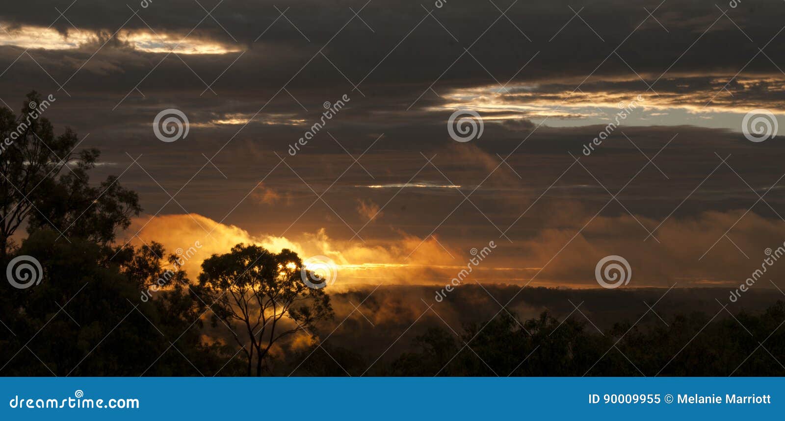Aftermath of Fire stock image. Image of dusk, cloud, savanna - 90009955