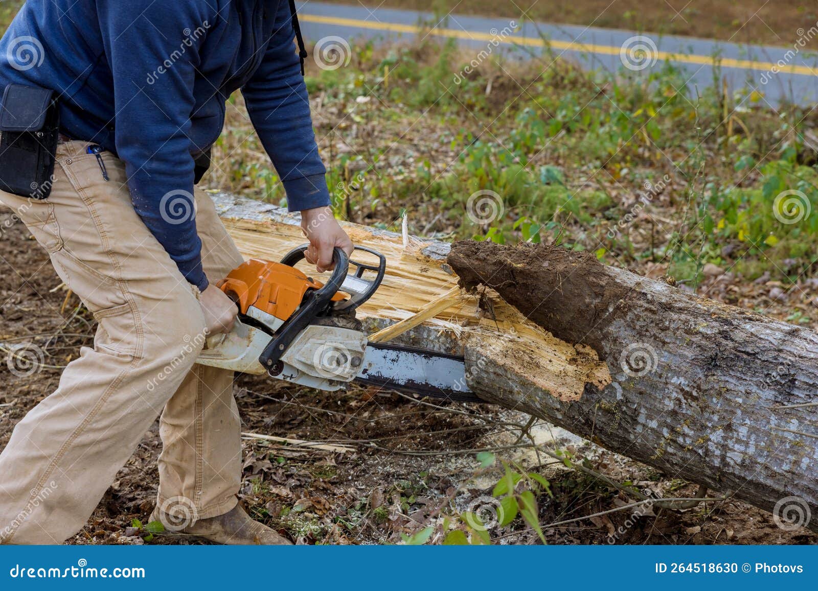 In the Aftermath of a Hurricane, a Worker Sawed Trees after a Hurricane ...