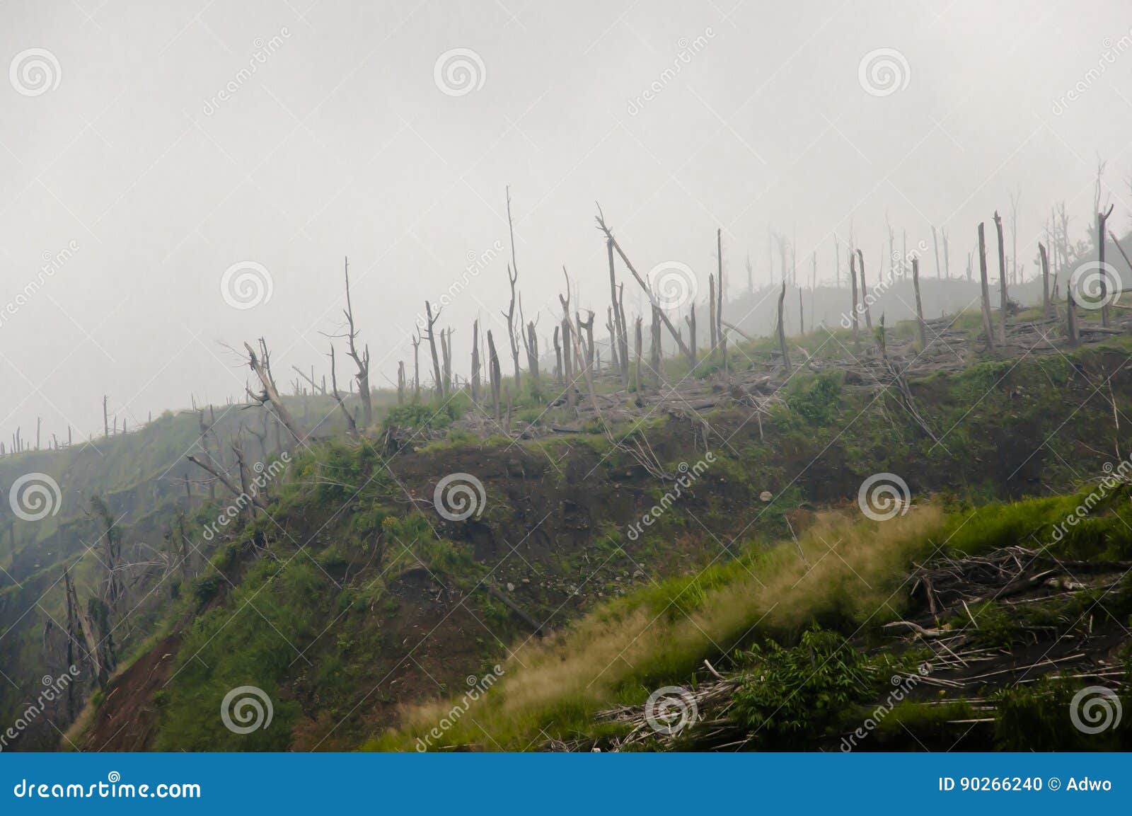 Aftermath of 2010 Mount Merapi Volcano Eruption - Indonesia Stock Photo ...