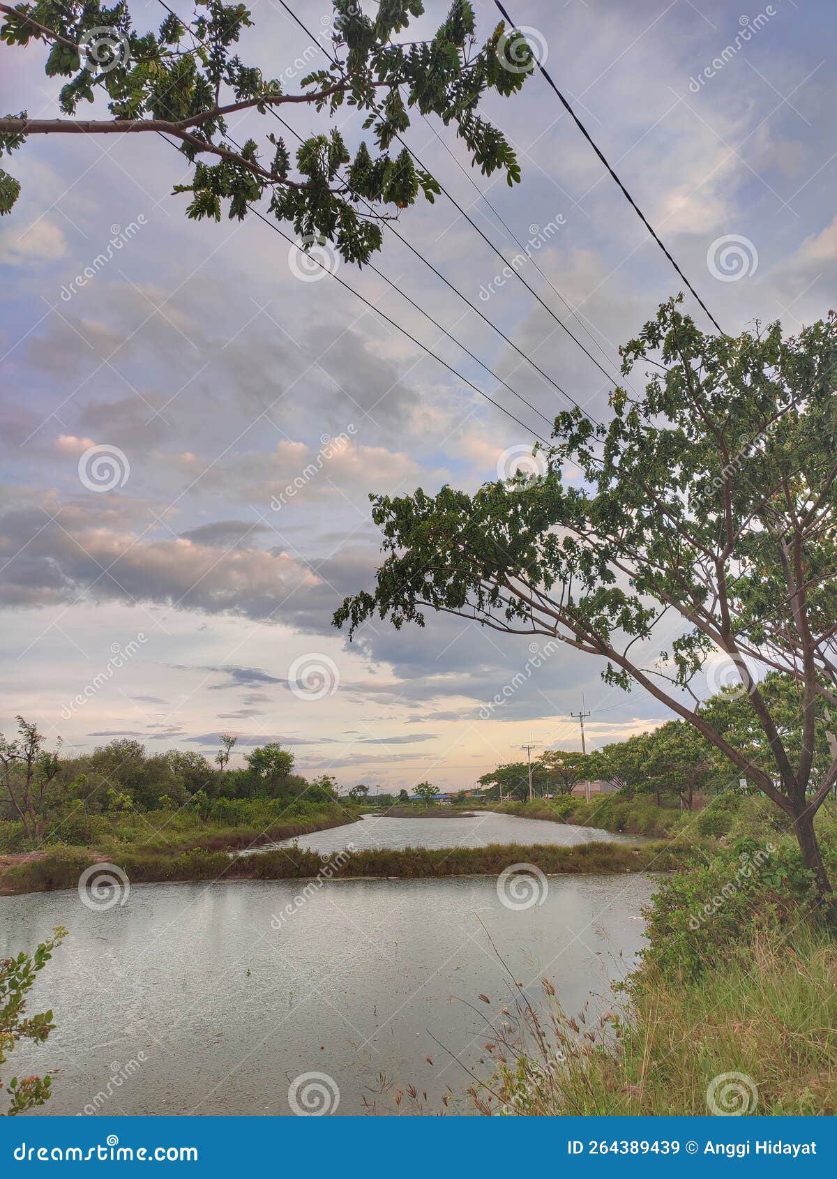 Afternoon Breeze stock image. Image of body, mind, calming - 264389439