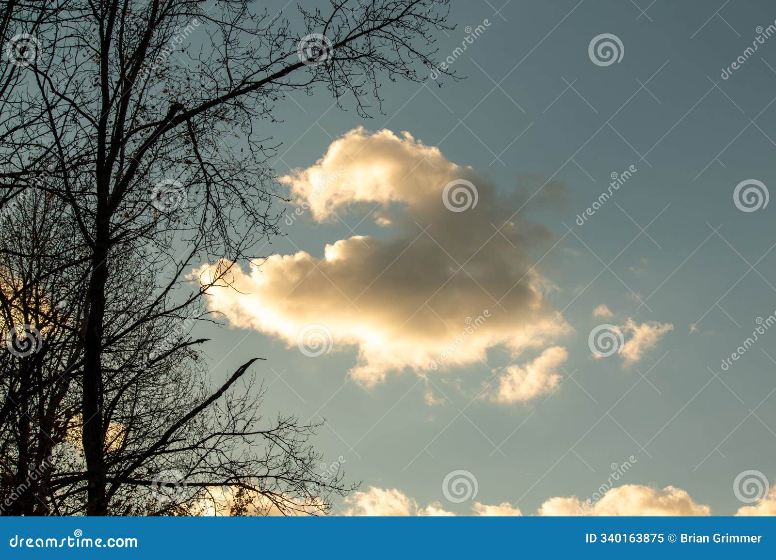 Clouds in the Sky and Barren Trees in the Fall Stock Image - Image of ...