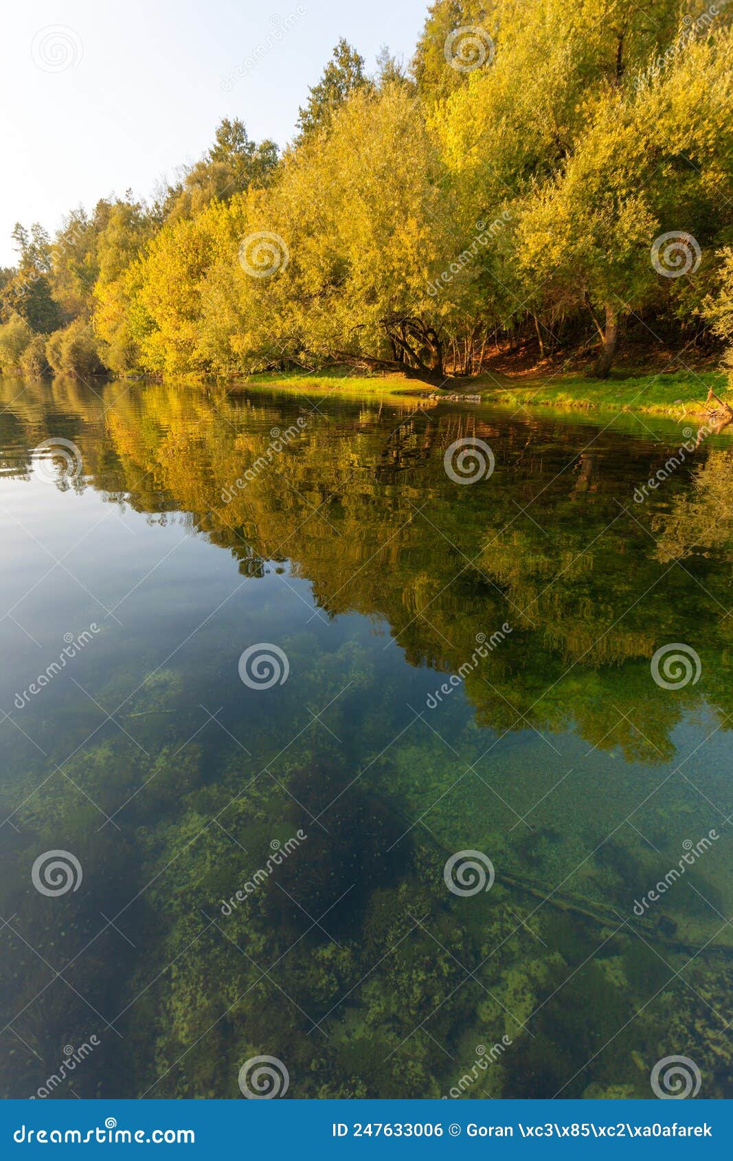 The Afternoon on the Dobra River Stock Photo - Image of nature, green ...