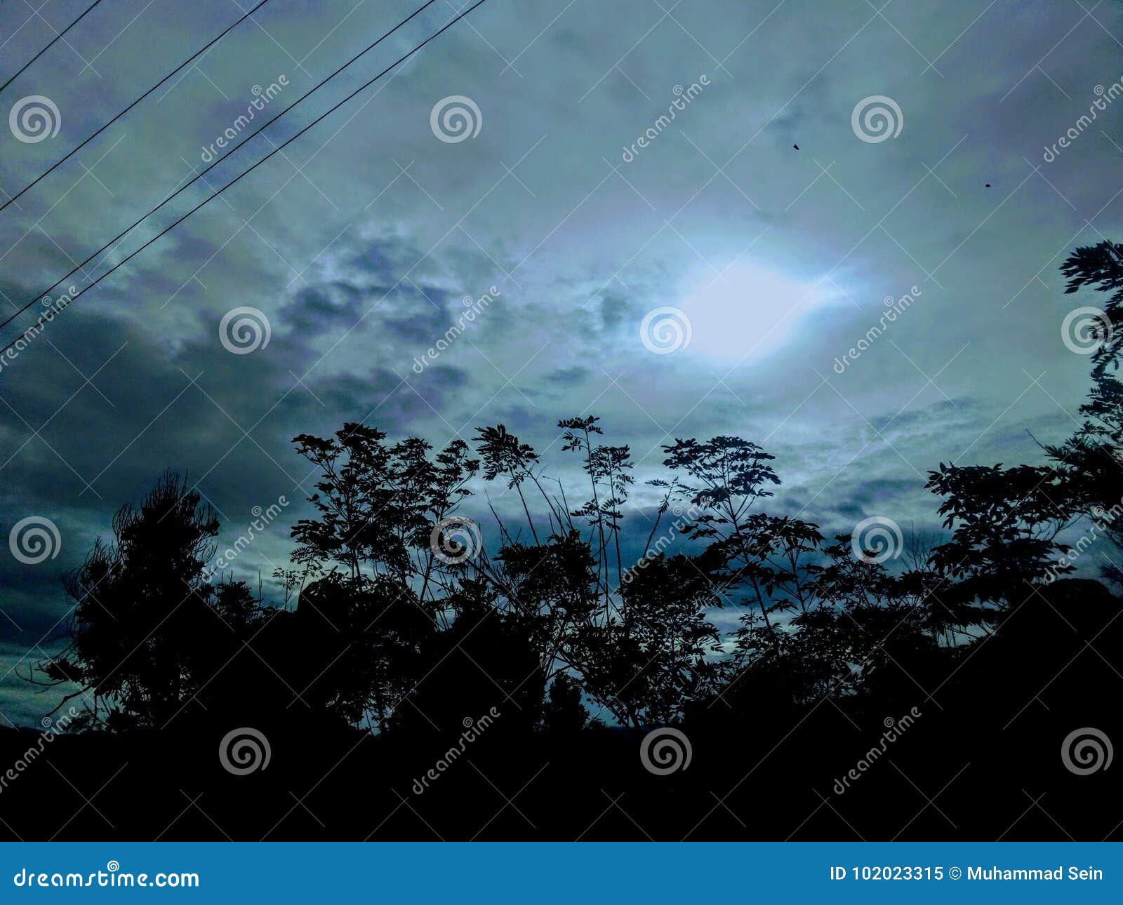 Afternoon stock image. Image of evening, light, tree - 102023315