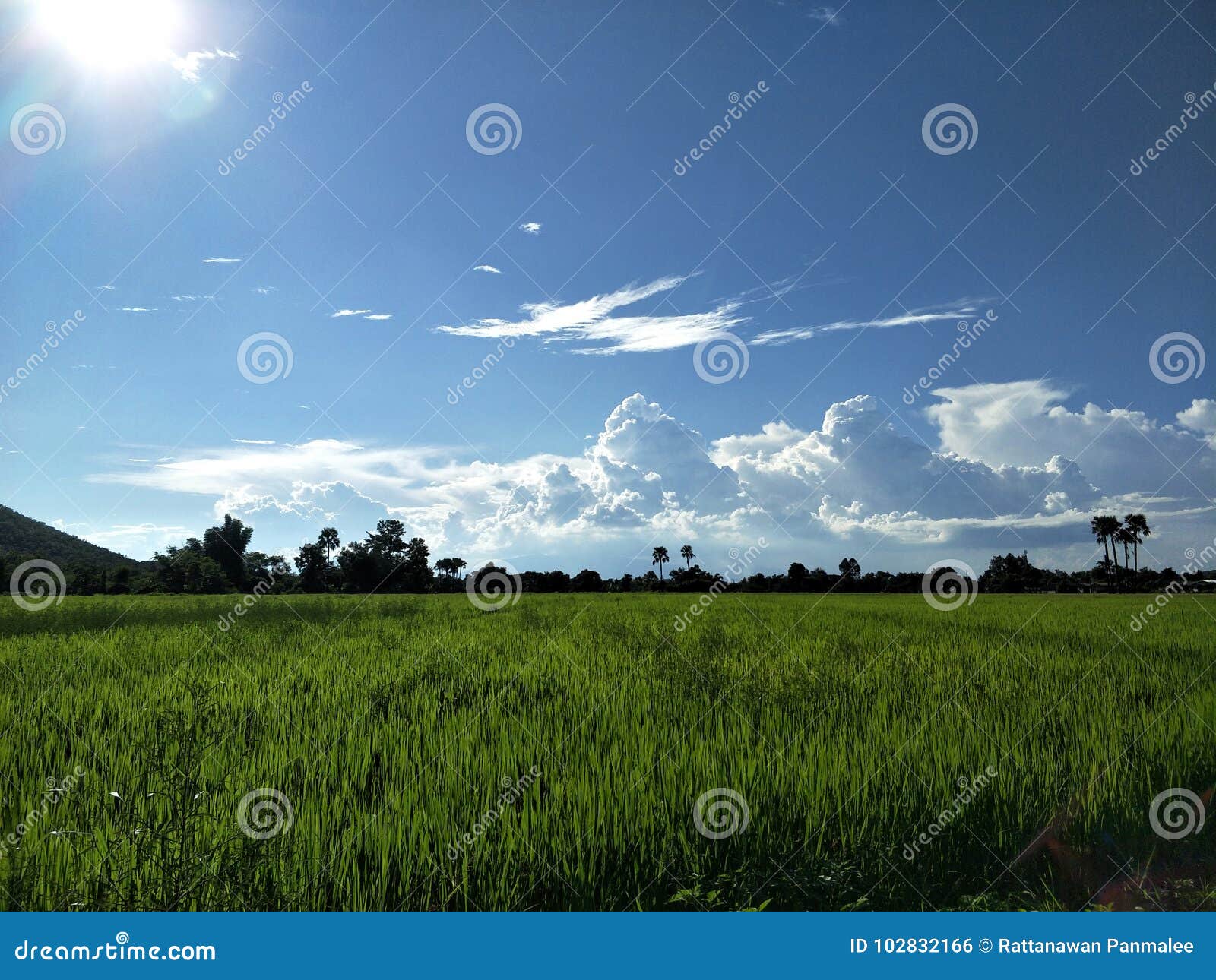 Afternoon stock photo. Image of cloud, afternoon, field - 102832166
