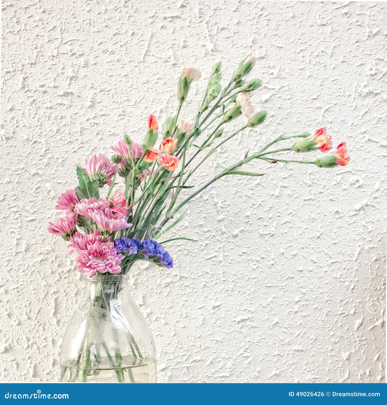 Afternoon flower stock photo. Image of summer, spring - 49026426